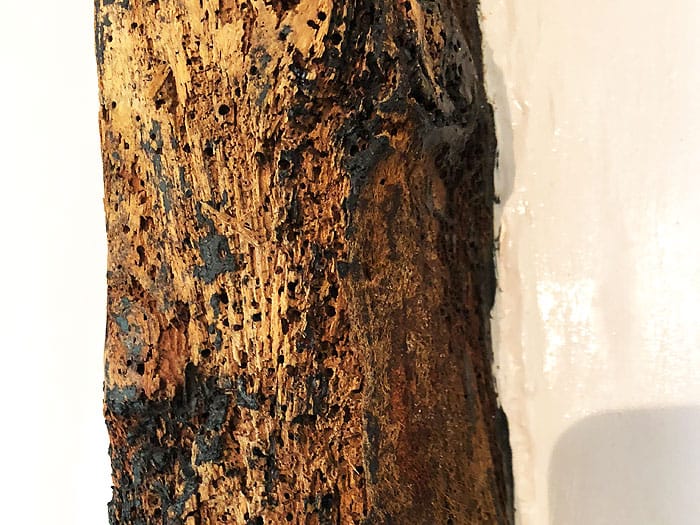 Timber Aftercare - Heritage Dry Ice Blasting