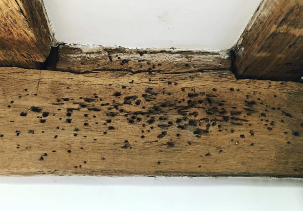 Timber Treatment Services - Heritage Dry Ice Blasting